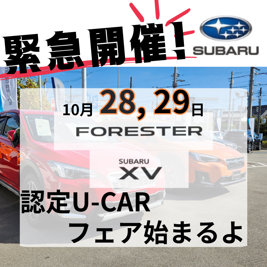 【開催決定！】スバル認定U-CAR FORESTER XVフェア | カースポット箕面 | スタッフブログ | スバル近畿株式会社 大阪株式会社