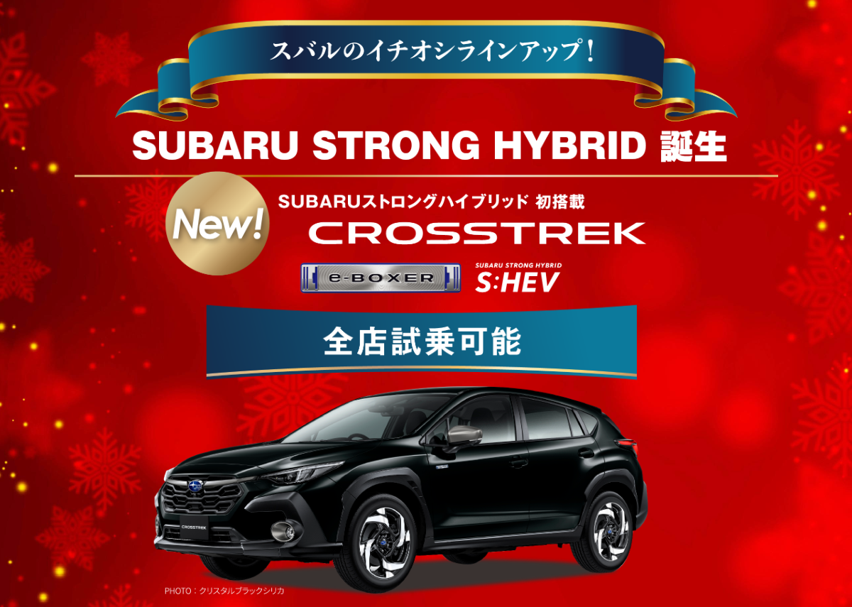 SUBARU Christmas All Lineup Fair | 狭山店 | スタッフブログ | 大阪スバル株式会社